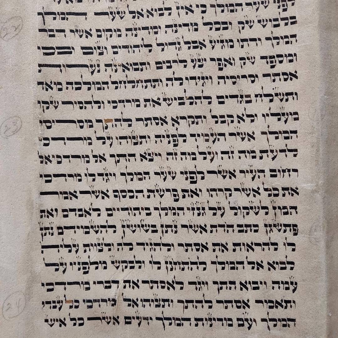 Megillat Esther – Chapter 4 | Heska Amuna Synagogue