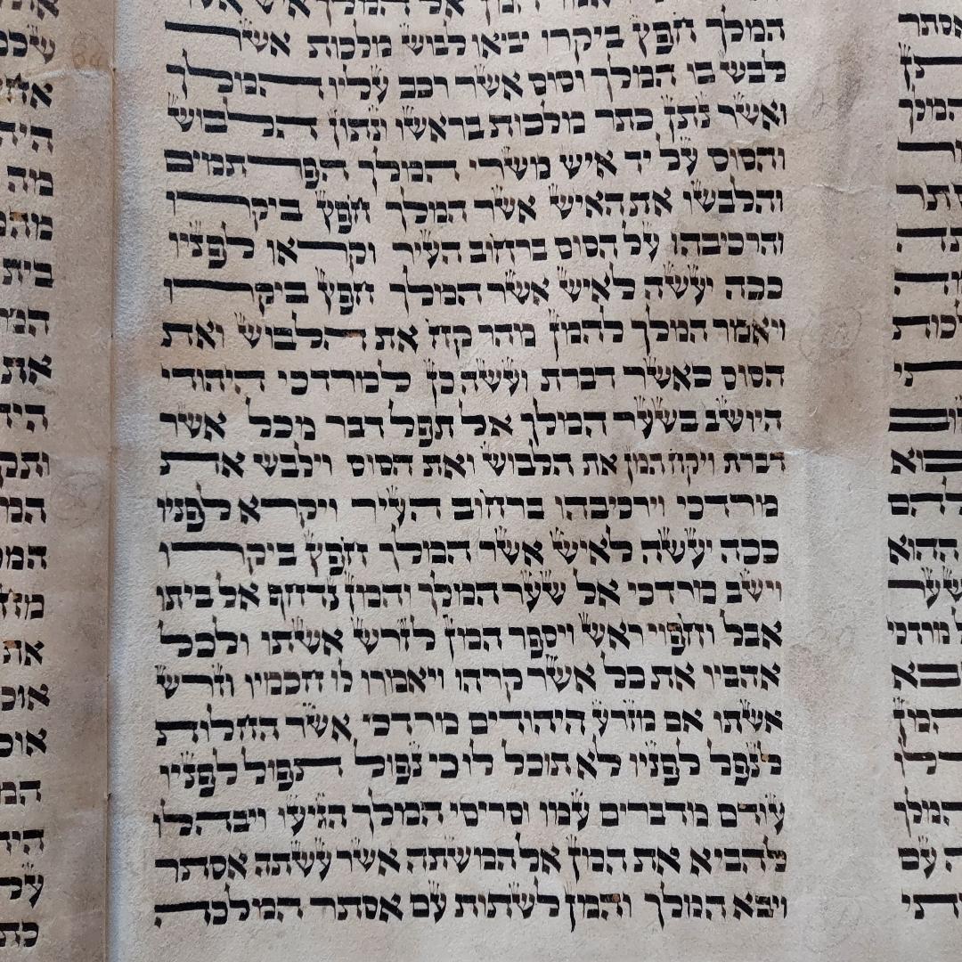 Megillat Esther – Chapter 7 | Heska Amuna Synagogue